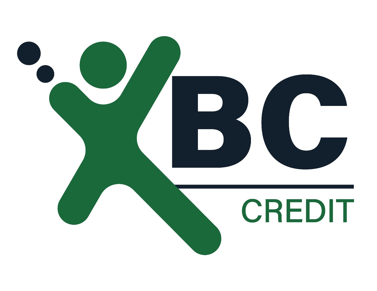 Login | BC-CREDIT